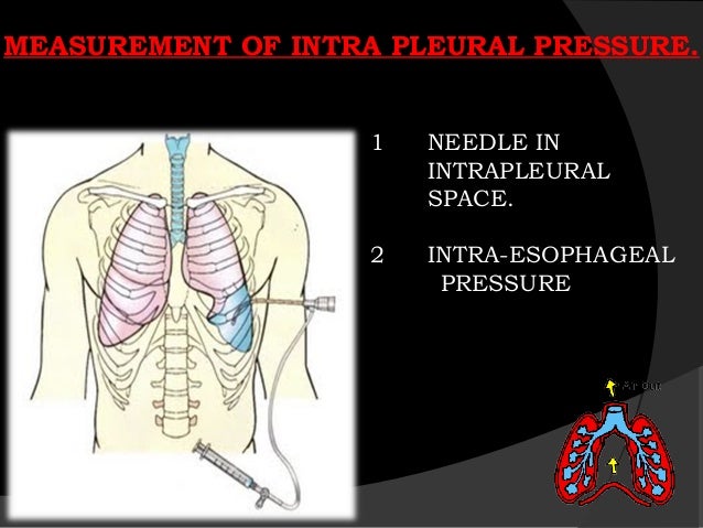 MECHANICS OF BREATHING