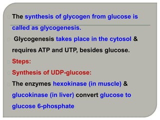 Synthesis Of Glycogen From Glucose 6 Phosphate