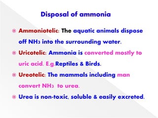 AMMONIA METABOLISM | PPTX