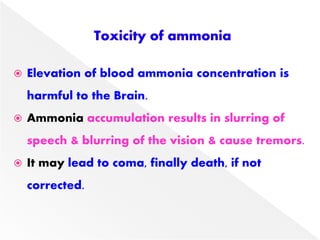 AMMONIA METABOLISM | PPTX