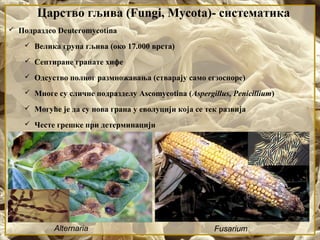2. Sistematika gljiva | PPT