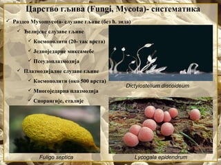 2. Sistematika gljiva | PPT