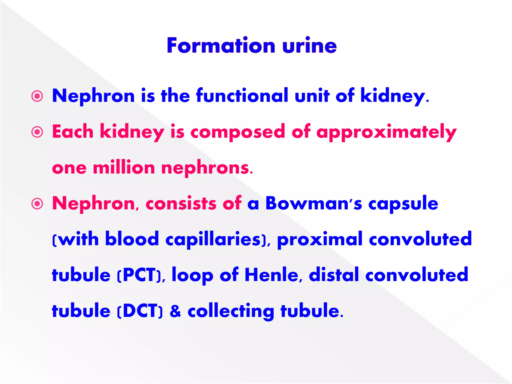 RENAL FUNCTION TESTS (RFT) | PPTX