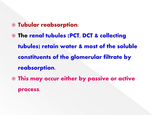 RENAL FUNCTION TESTS (RFT) | PPTX