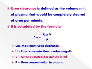 RENAL FUNCTION TESTS (RFT) | PPTX