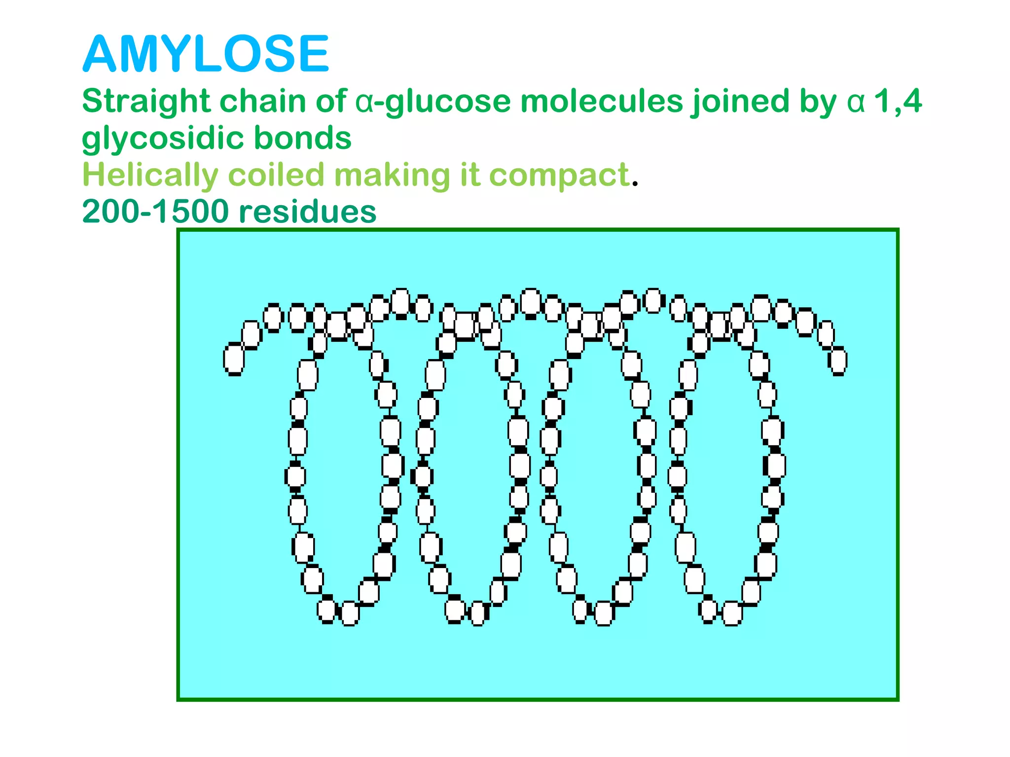 2. carbohydrates | PPT