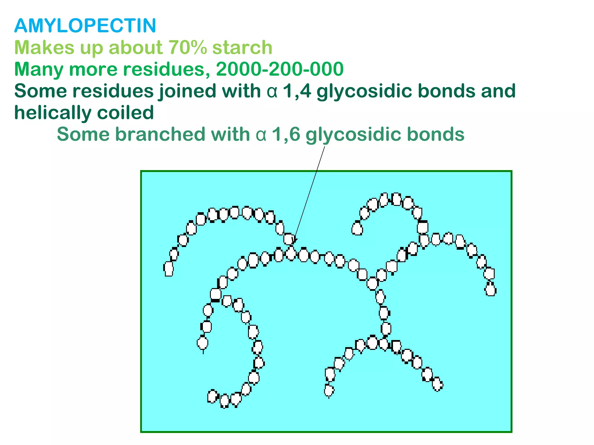2. carbohydrates | PPT