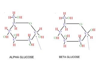 2. carbohydrates | PPT