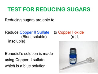 2. carbohydrates | PPT