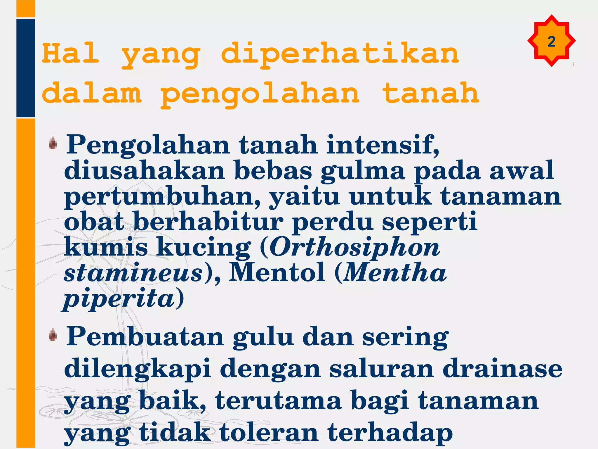 Pembuatan Simplisia dari tanaman obat | PPT