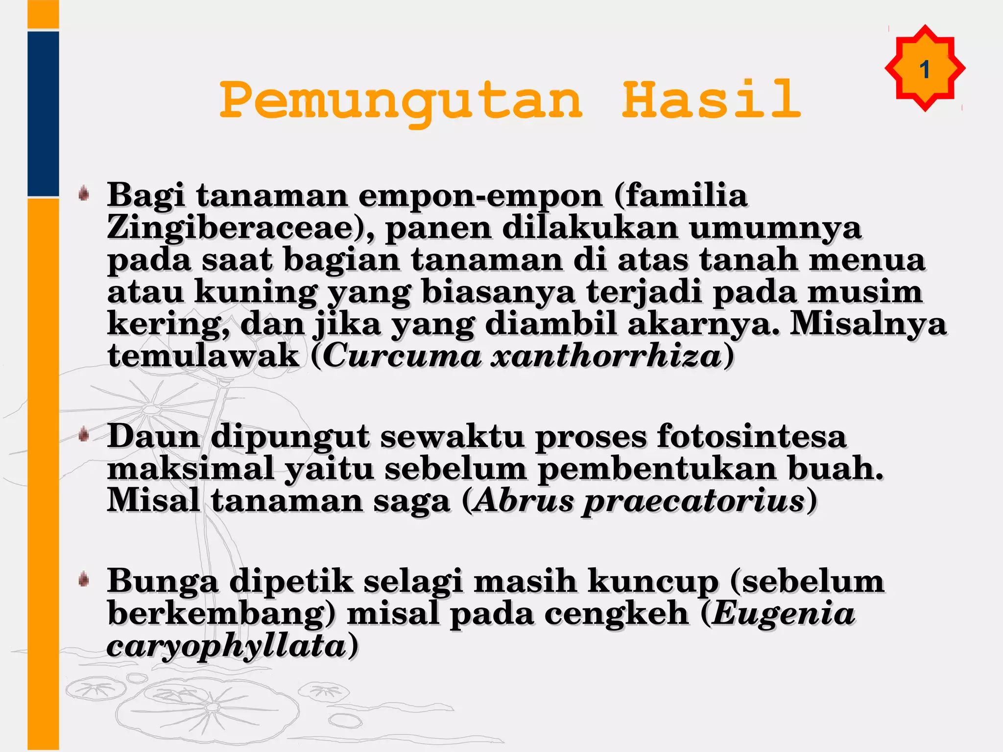 Pembuatan Simplisia dari tanaman obat | PPT
