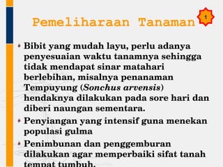 Pembuatan Simplisia dari tanaman obat | PPT