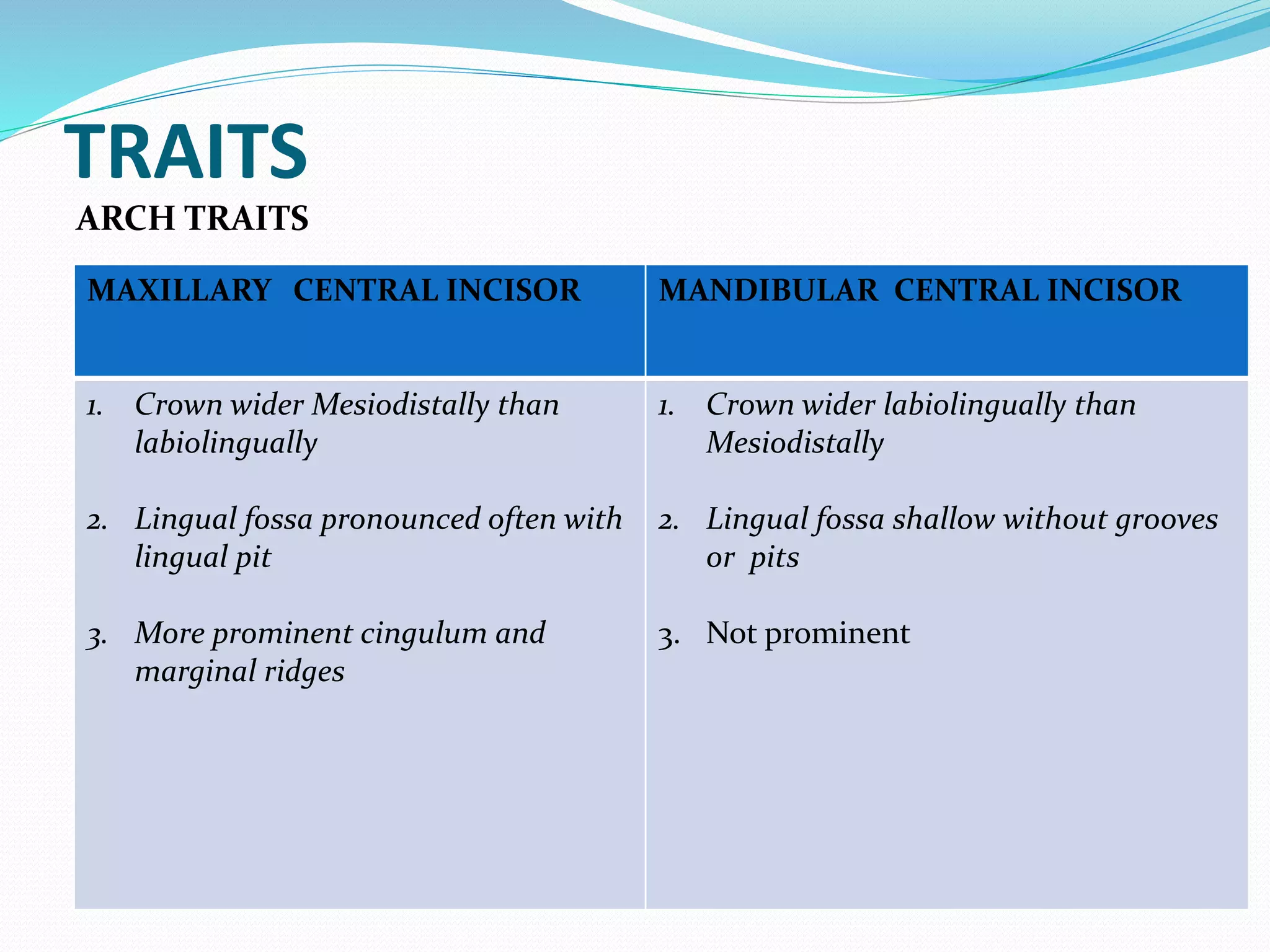 Permanent Mandibular Central Incisor | PPTX