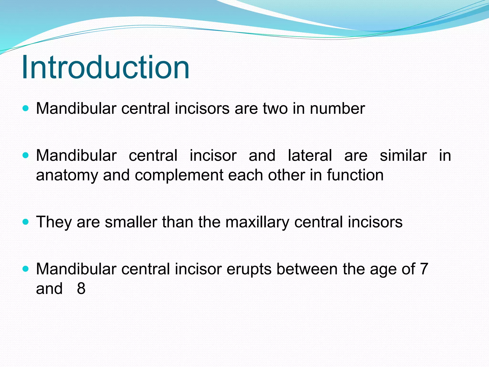 Permanent Mandibular Central Incisor | PPTX