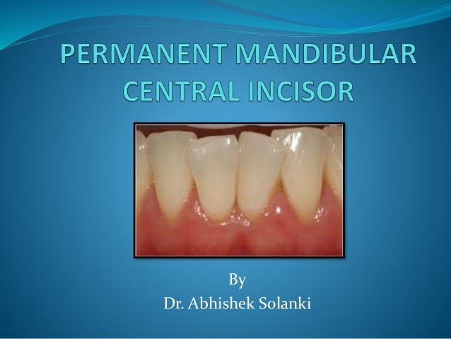 Mandibular Central Incisor