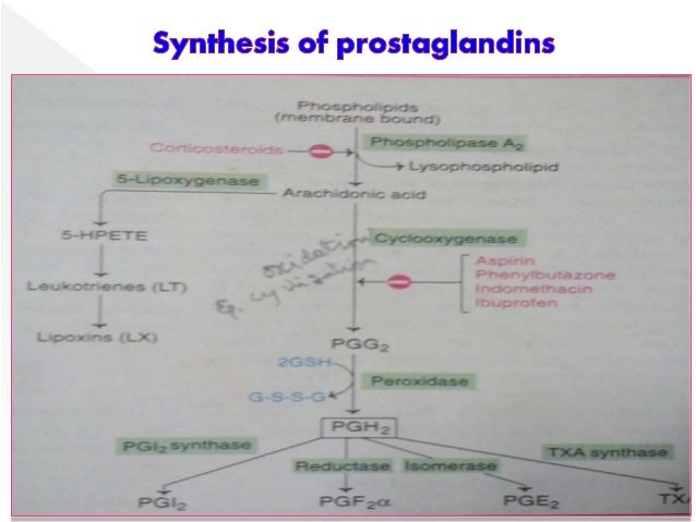 PROSTAGLANDINS