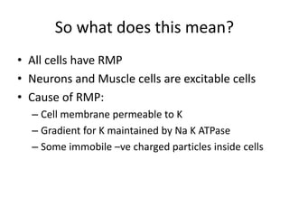 2. membrane potential | PPTX | Biological Sciences | Science