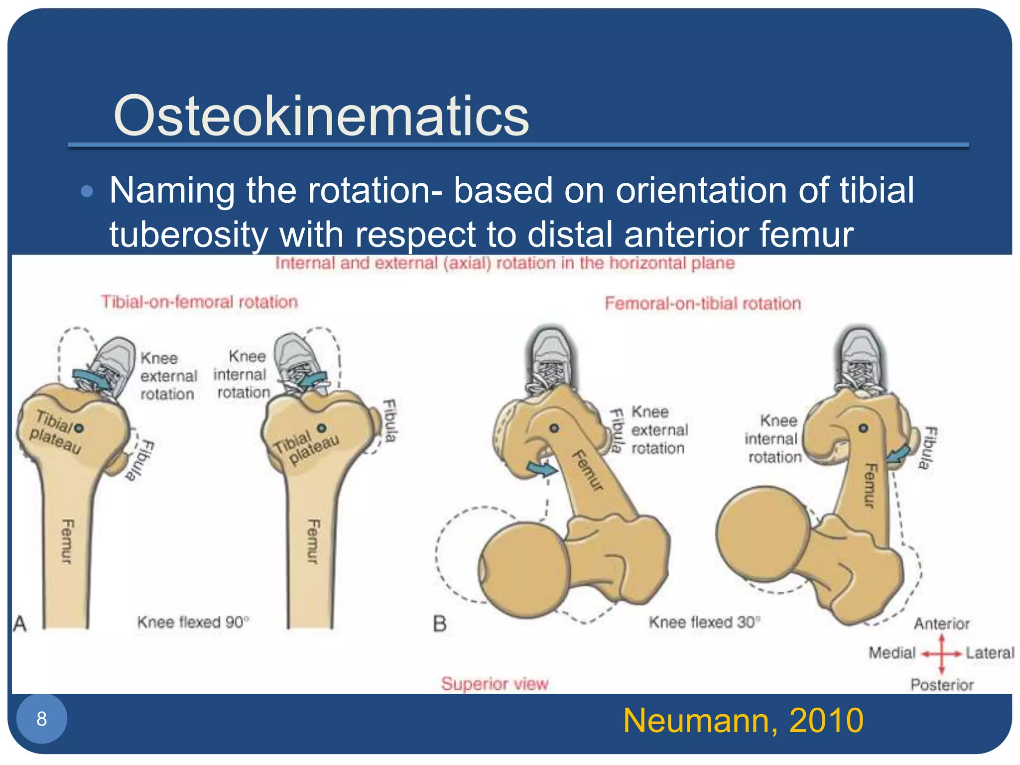 2. biomechanics of the knee joint artho, osteo | PPTX