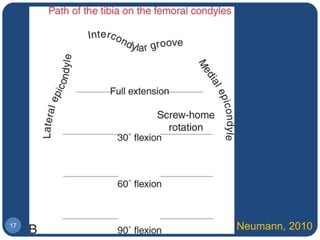 2. biomechanics of the knee joint artho, osteo | PPTX