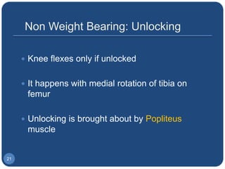 2. biomechanics of the knee joint artho, osteo | PPTX