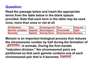 Biology form 4 chapter 5 cell dvision part 2 (meiosis) | PPTX
