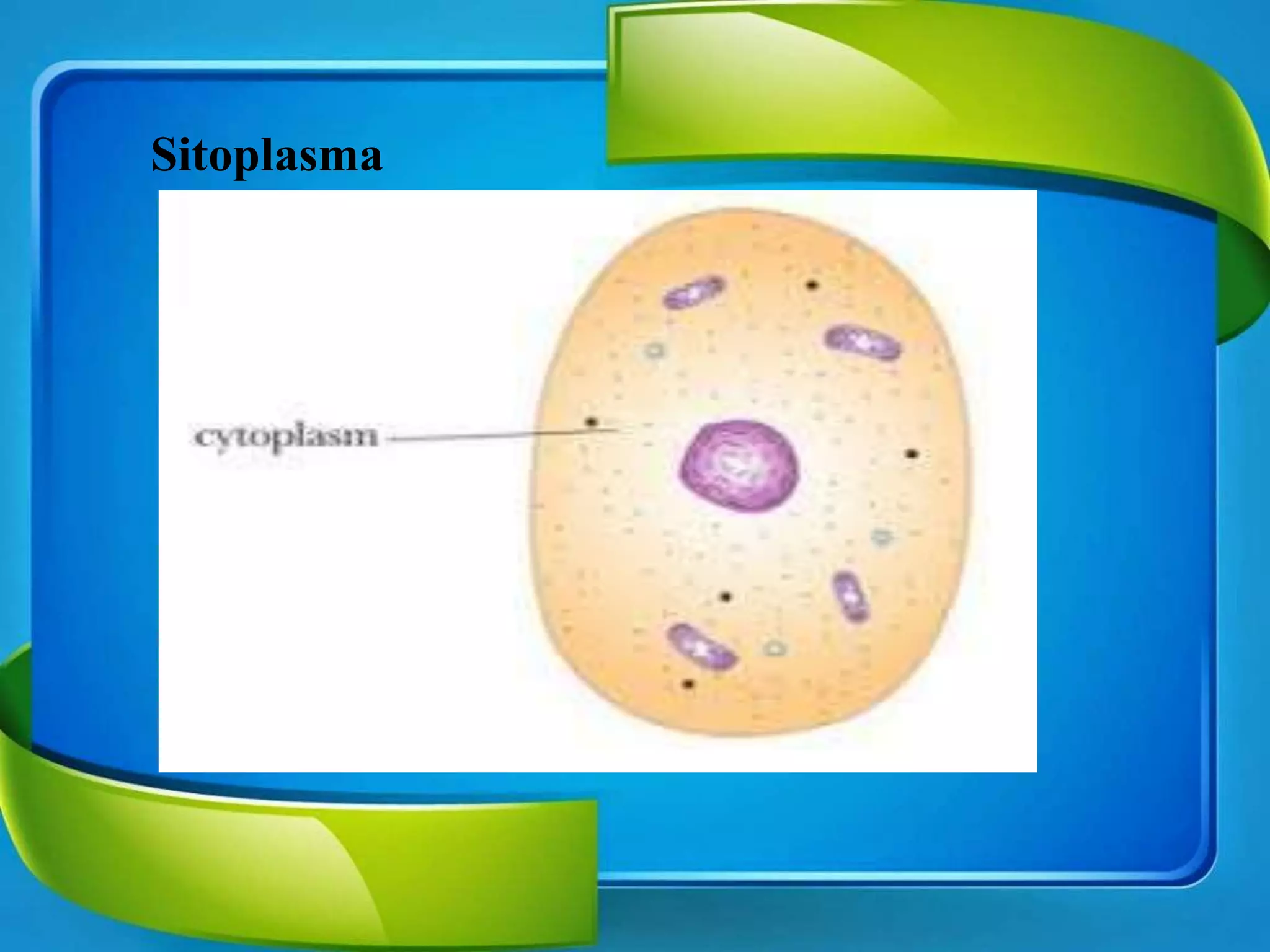 jenis jenis sel & fungsi spesifik sel | PPTX