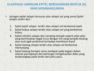 Jaringan Epitel | PPTX