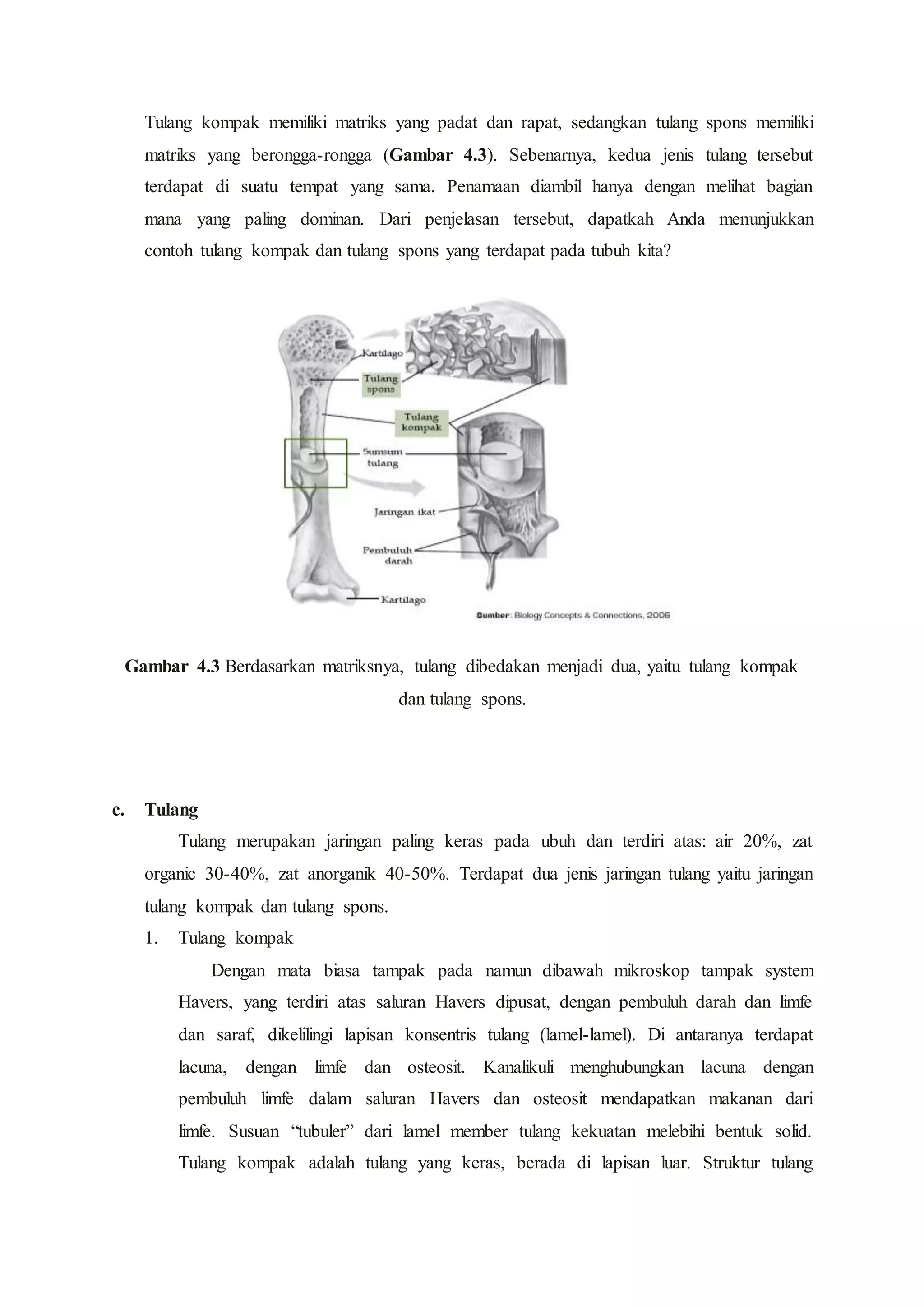 Organisasi sistem rangka | DOCX