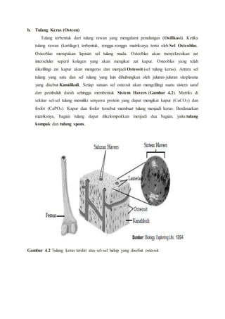 Organisasi sistem rangka | DOCX