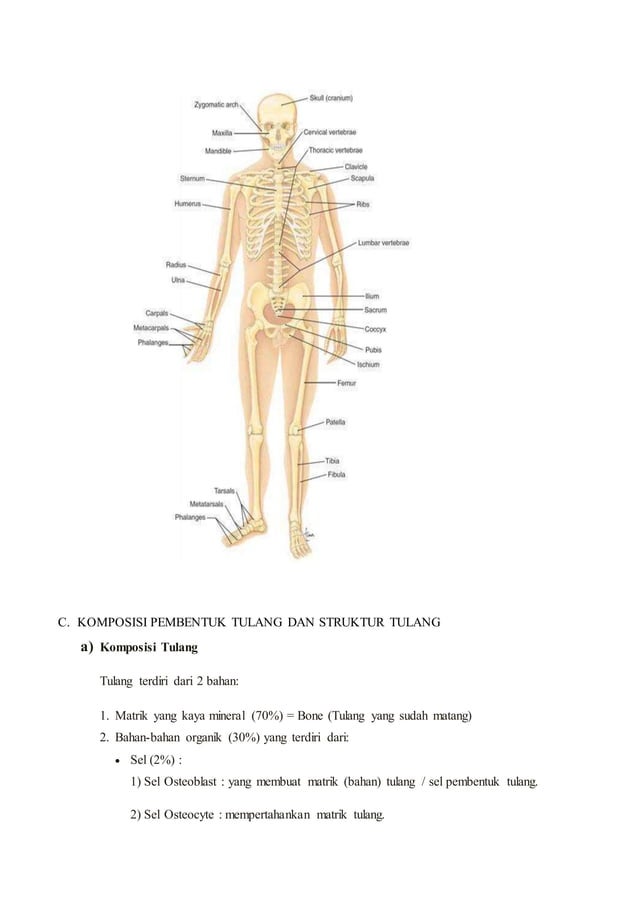 Organisasi sistem rangka | PDF