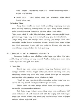 Organisasi sistem rangka | DOCX