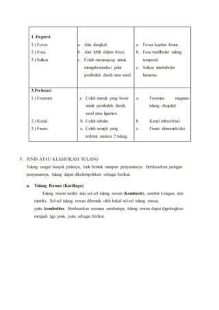 Organisasi sistem rangka | DOCX
