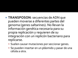 Generalidades de bacterias | PPTX