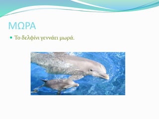 ΔΕΛΦΙΝΙ | PPTX