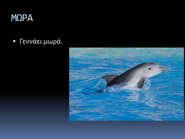ΔΕΛΦΙΝΙ | PPT