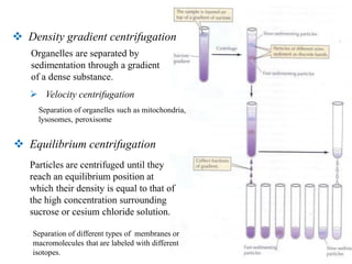 2.tools.cell biology | PDF