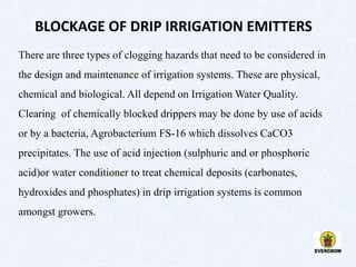 Irrigation Water Quality | PPTX
