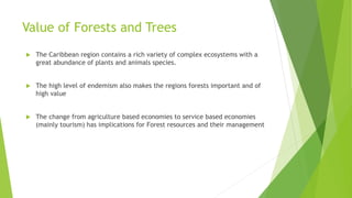 The Social and Economic Value of Trees and Forests | PPTX