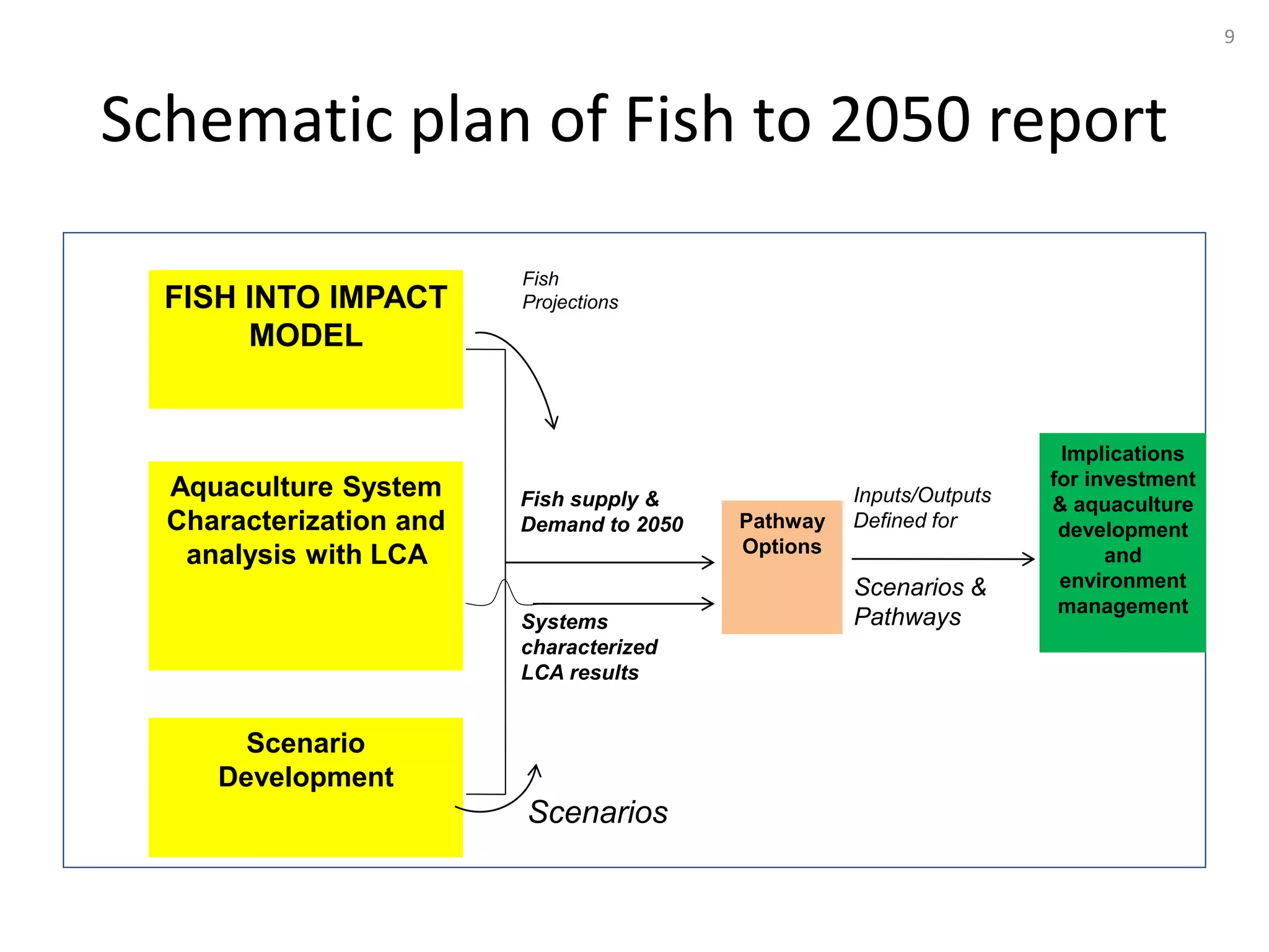 2.2 iwmi fish to 2050 projection plan-tbs | PPT