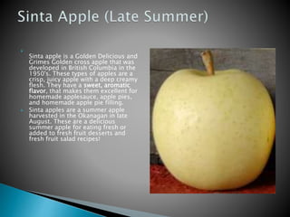 2.apple varieties in world by Allah Dad Khan | PPTX | Desserts and ...