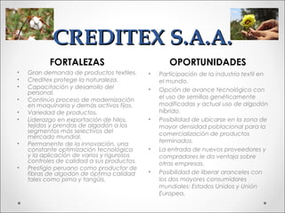 2.creditex s.a.a. conclusion | PPT