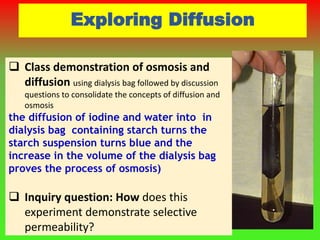 2-150804182721-lva1-app6891.pdf