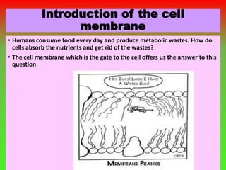 2-150804182721-lva1-app6891.pdf