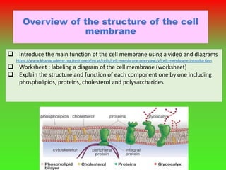 2-150804182721-lva1-app6891.pdf