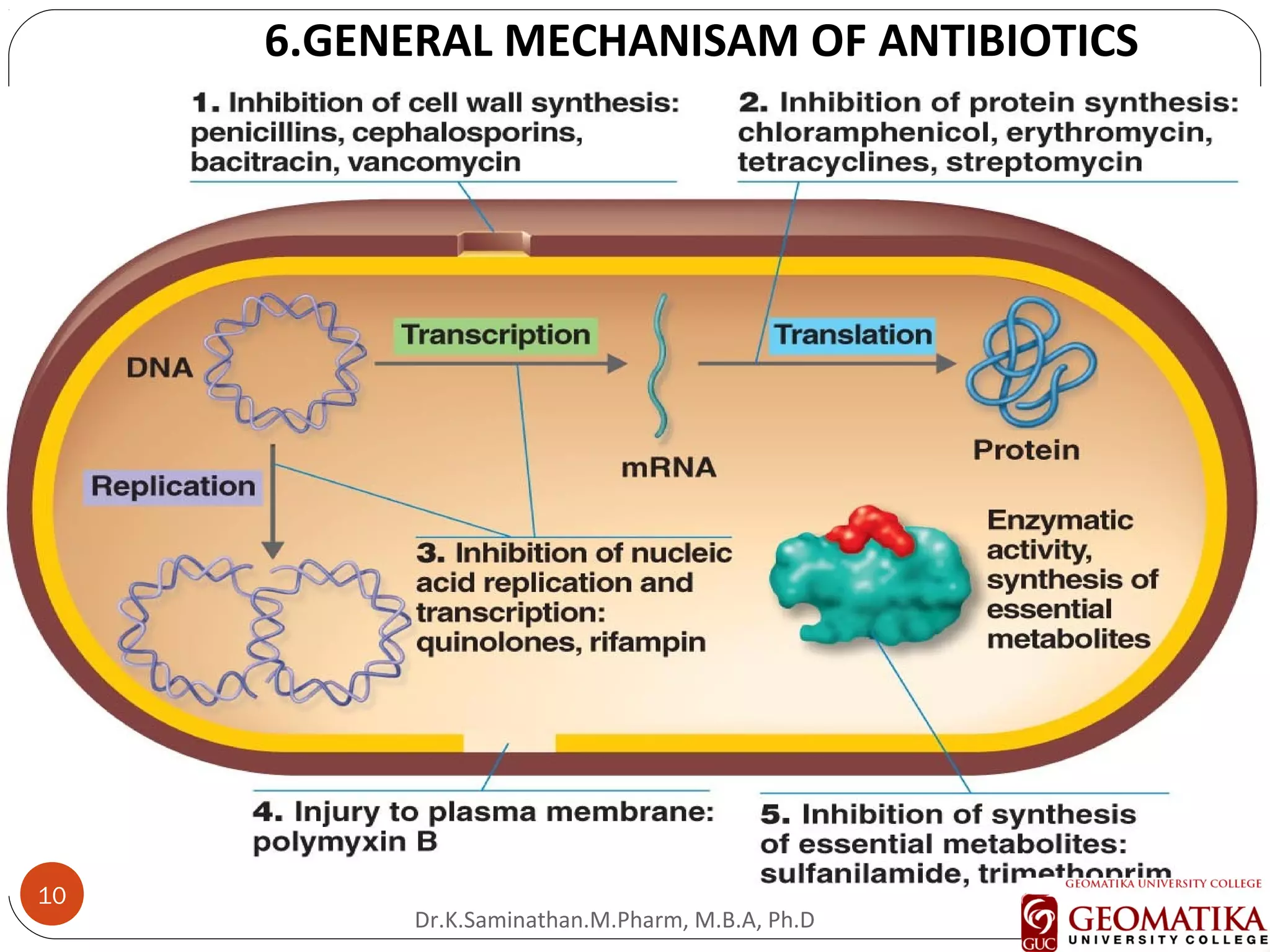 2.ANTIBIOTIC (CELL WALL INHIBITORS) | PPT
