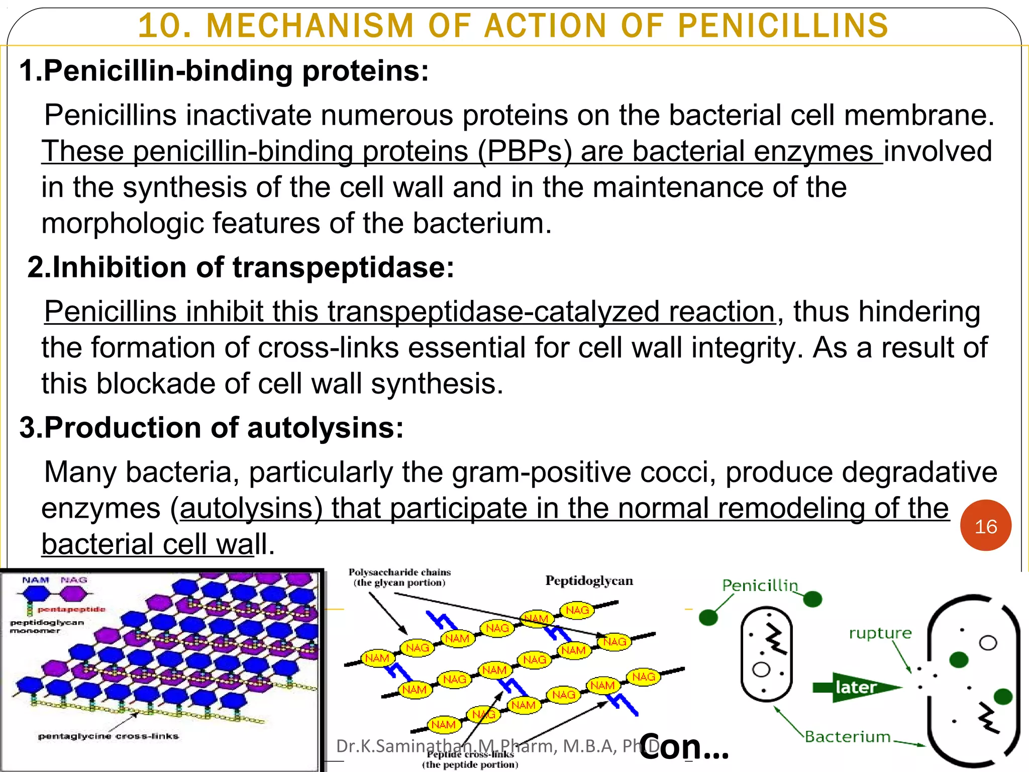 2.ANTIBIOTIC (CELL WALL INHIBITORS) | PPT