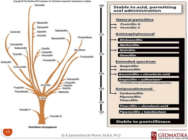 2.ANTIBIOTIC (CELL WALL INHIBITORS) | PPT | Infectious Diseases ...