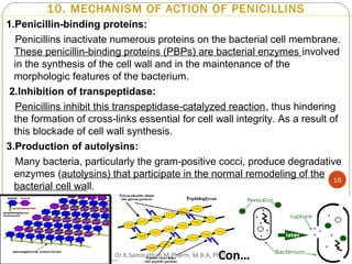 2.ANTIBIOTIC (CELL WALL INHIBITORS) | PPT