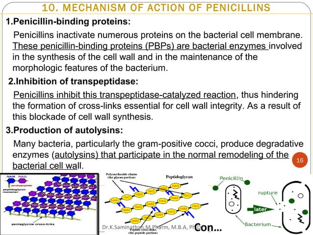 2.ANTIBIOTIC (CELL WALL INHIBITORS) | PPT | Infectious Diseases ...