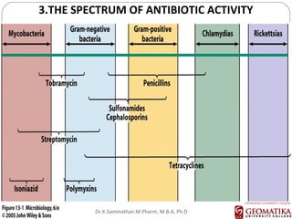 2.ANTIBIOTIC (CELL WALL INHIBITORS) | PPT